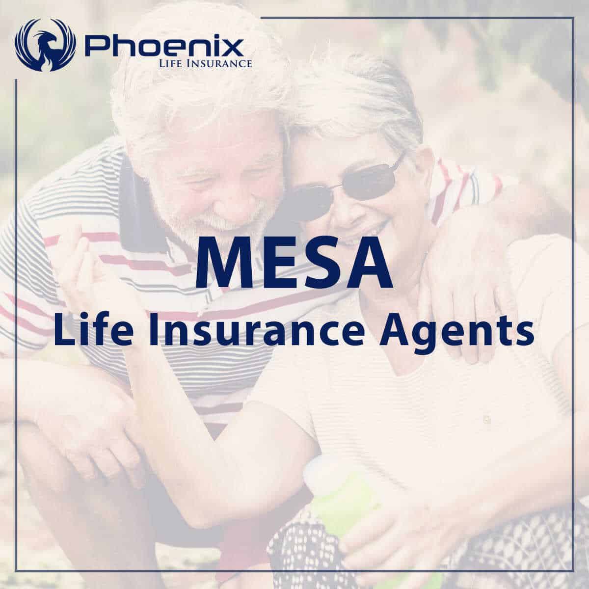 Professional Mesa Life Insurance Insurance Agents Near You